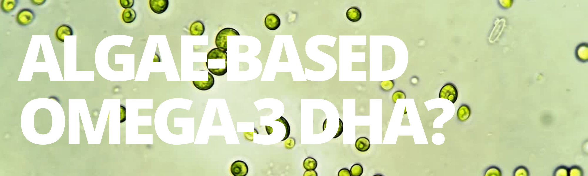 Enhancing Nutrition Sustainably with AlgaPrime™ DHA Algae Omega-3