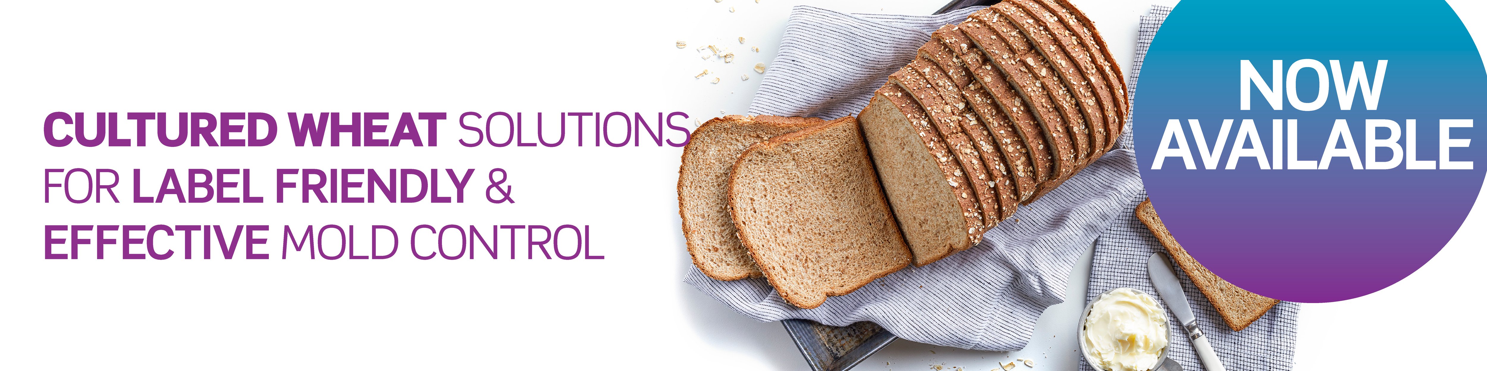 Corbion NMI Bakery Solutions